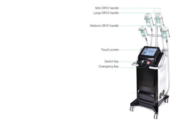 Multifunction OEM Professional Cryolipolysis Machine - konmison